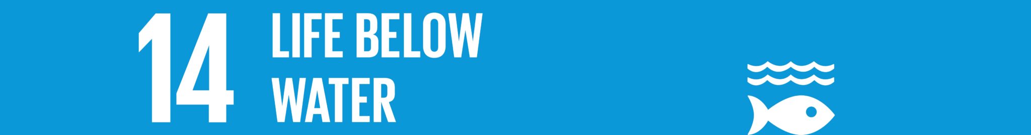 SDGs14 永續海洋與保育－保育及永續利用海洋與海洋資源，以確保永續發展 - Vanicream 薇霓肌本—全球No.1 醫院研發皮膚專業保養品牌